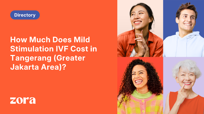 How Much Does Mild Stimulation IVF Cost in Tangerang (Greater Jakarta ...